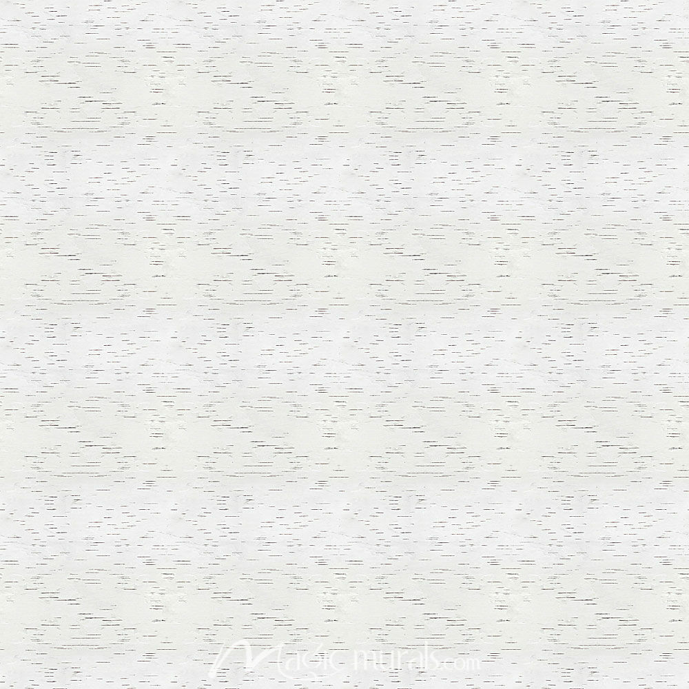 Birch Bark Pattern Wallpaper Wall Mural by Magic Murals