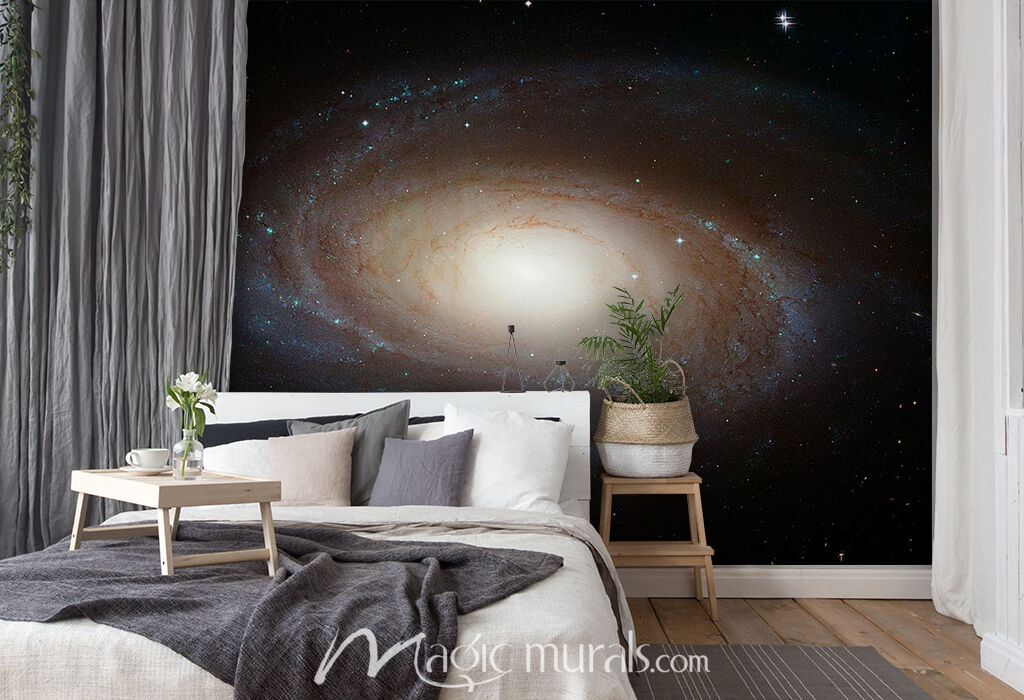 Grand Design Galaxy Wallpaper Wall Mural by Magic Murals