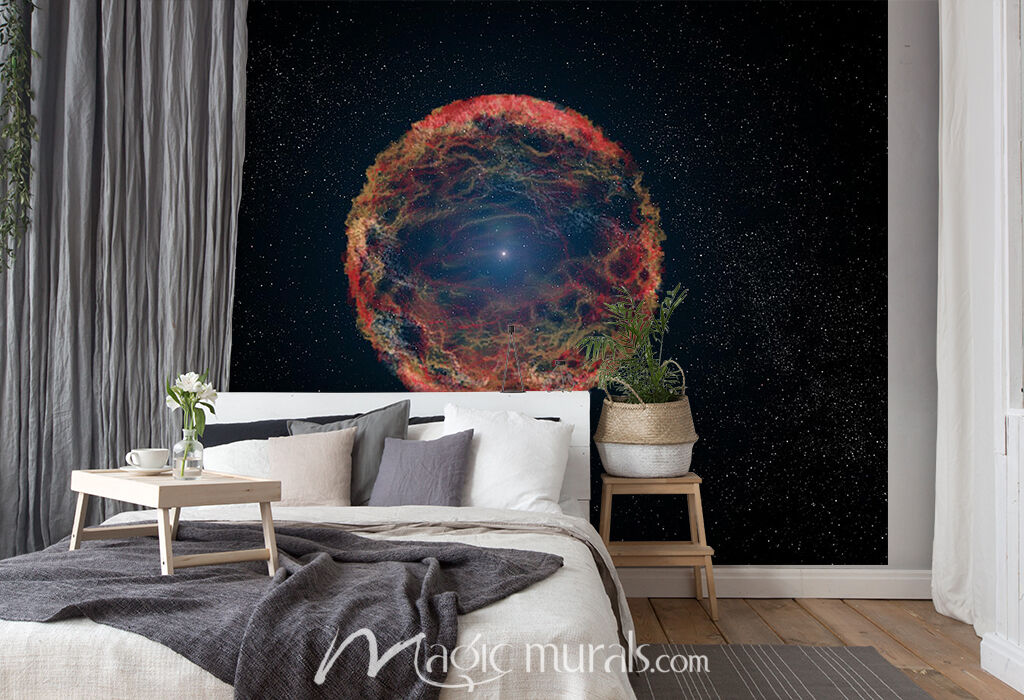 Neon Supernova 1993J Wallpaper Mural by Magic Murals