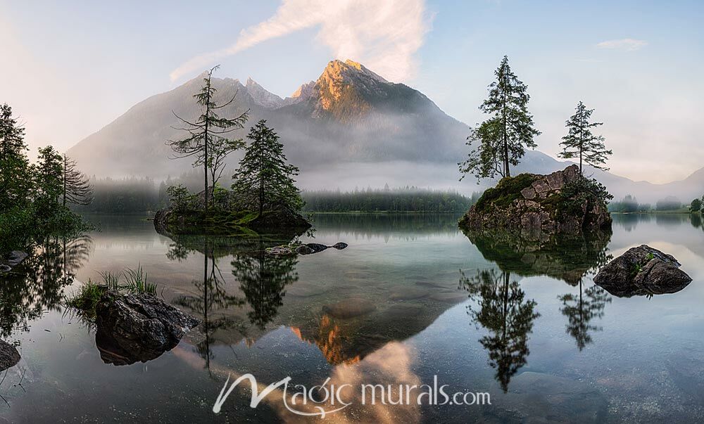 Nature Awakening Wallpaper Wall Mural by Magic Murals