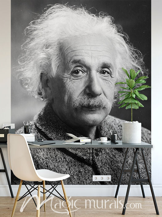 Iconic Einstein Wallpaper Wall Mural by Magic Murals