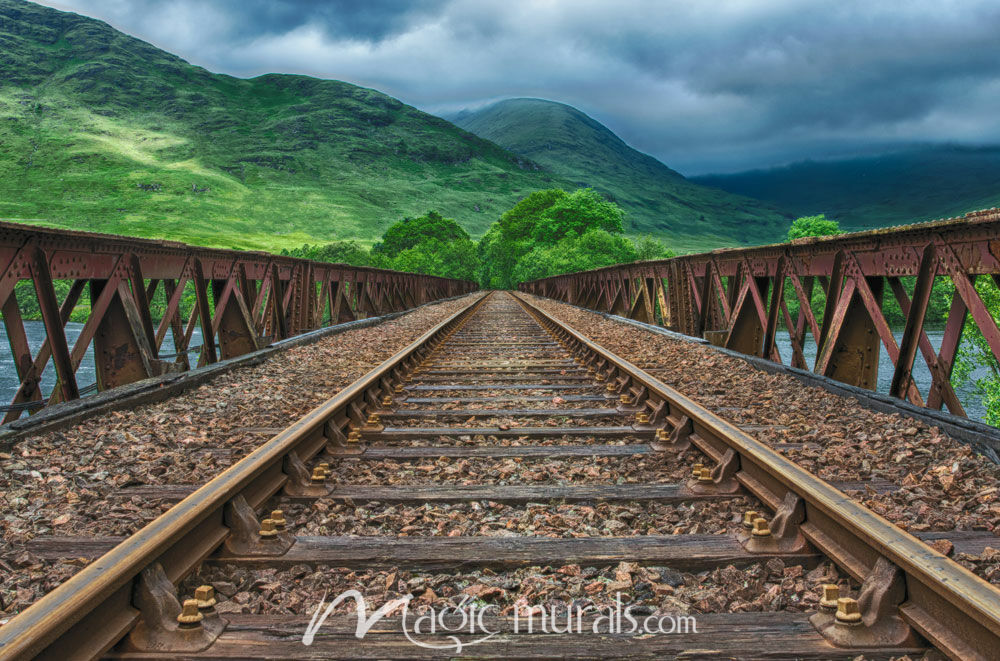 Train Tracks to Nowhere Wallpaper Mural by Magic Murals