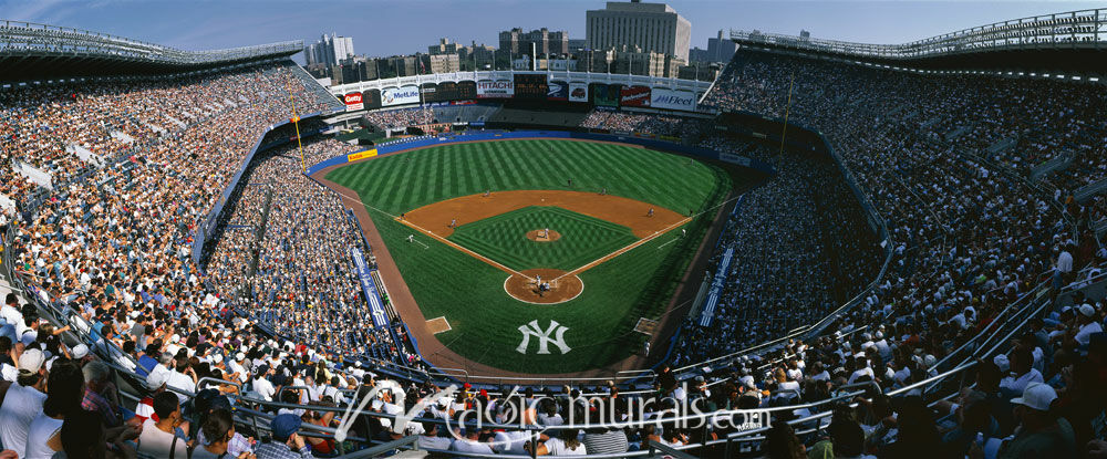 Aerial View of Yankee Stadium Wallpaper Mural by Magic Murals