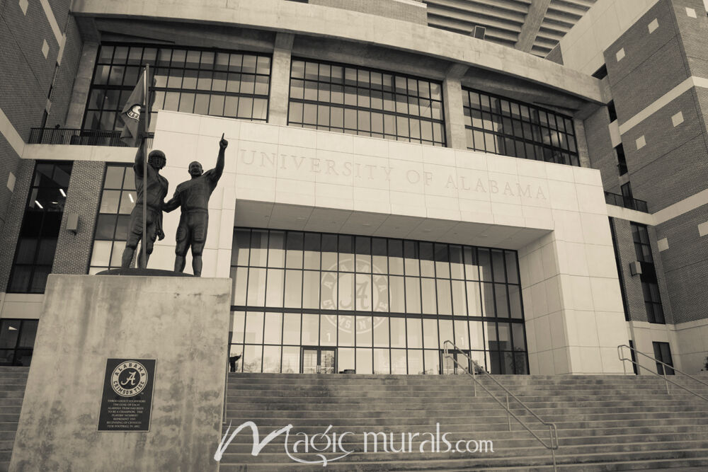 U Alabama Denny Stadium 0090 Wallpaper Mural by Magic Murals