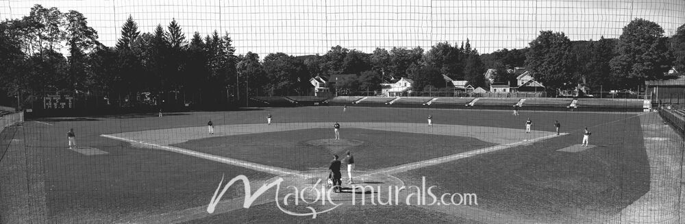 Doubleday Field Cooperstown 2161 Mural by Magic Murals