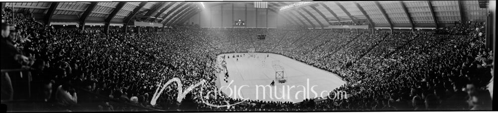 U Maryland Cole Field House 6501 Mural by Magic Murals