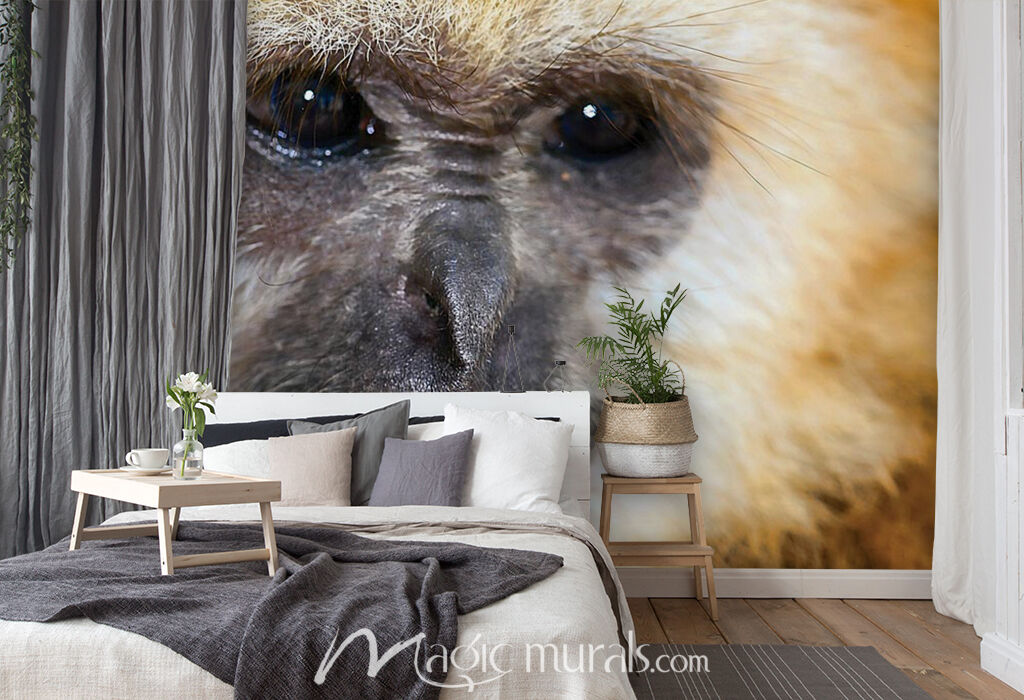 Gibbon Wallpaper Wall Mural by Magic Murals