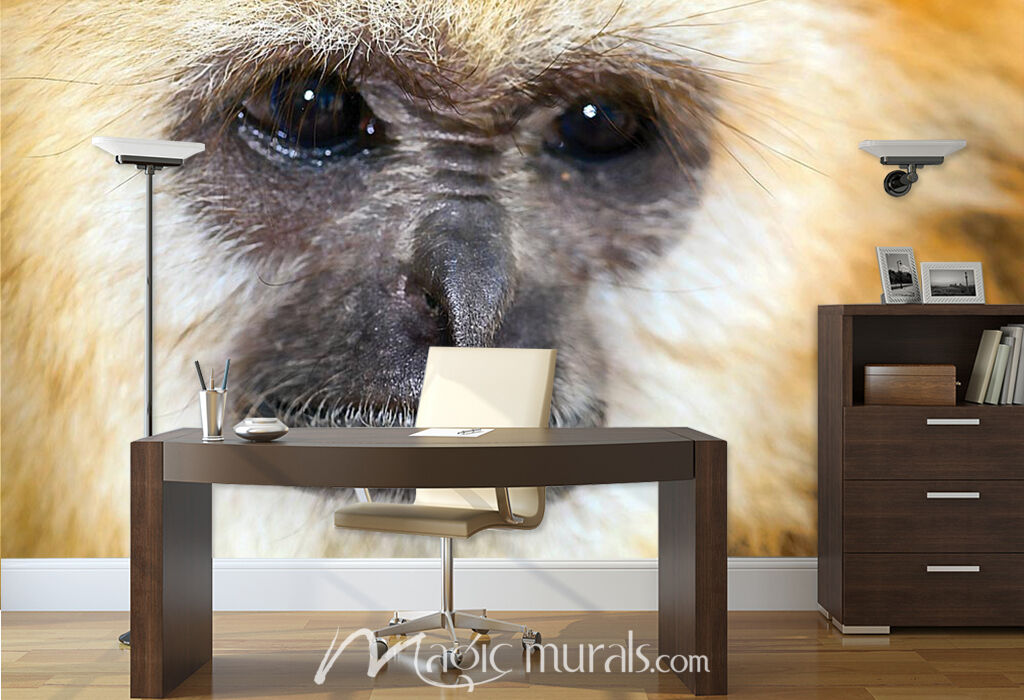 Gibbon Wallpaper Wall Mural by Magic Murals