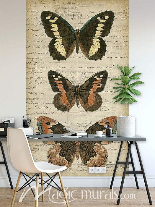 Butterfly Script I Wallpaper Wall Mural by Magic Murals