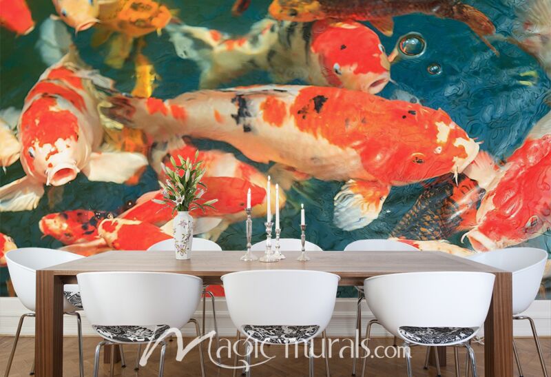 Colorful Koi Wallpaper Wall Mural by Magic Murals