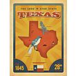 State Pride - Texas Wallpaper Wall Mural by Magic Murals