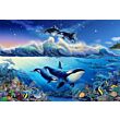 The Blue World Star Wallpaper Wall Mural by Magic Murals
