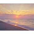 Beach At Sunrise Wallpaper Wall Mural by Magic Murals