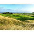 Royal Portrush 13th Hole Wallpaper Mural by Magic Murals