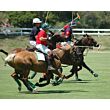 Polo Match Wallpaper Wall Mural by Magic Murals