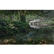 Quietude Wallpaper Wall Mural by Magic Murals