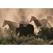 Dusty Trail Wallpaper Wall Mural by Magic Murals
