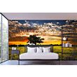 Shadows At Sunset Wallpaper Wall Mural by Magic Murals