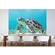 Swimming Sea Turtle Wallpaper Wall Mural by Magic Murals