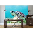 Swimming Sea Turtle Wallpaper Wall Mural by Magic Murals