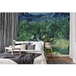 Olive Trees Wallpaper Wall Mural by Magic Murals
