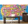 USA Color Map Wallpaper Wall Mural by Magic Murals