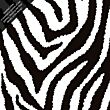 Zebra Print Wallpaper Wall Mural by Magic Murals