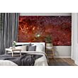 Galactic Center Wallpaper Wall Mural by Magic Murals