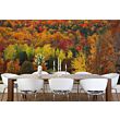 Peak Side Color Wallpaper Wall Mural by Magic Murals