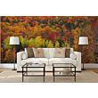 Peak Side Color Wallpaper Wall Mural by Magic Murals