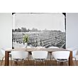 Civil War Cemetery Wallpaper Wall Mural by Magic Murals