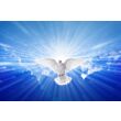 Holy Spirit Came Down Like a Dove - Clearance 1395 Wallpaper Mural by ...
