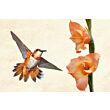 Hummingbird Attraction II Wallpaper Mural by Magic Murals
