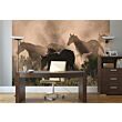 Dusty Trail Wallpaper Wall Mural by Magic Murals