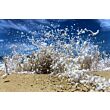 Foam Explosion Wallpaper Wall Mural by Magic Murals