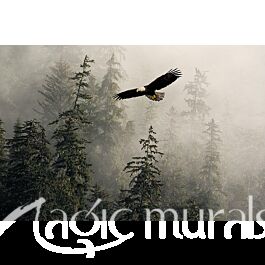 Bald Eagle Soaring Wallpaper Wall Mural by Magic Murals