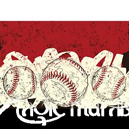 Baseball Graffiti Wallpaper Wall Mural by Magic Murals