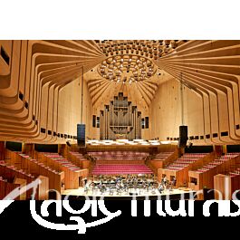 Concert Hall of the Opera House Mural by Magic Murals