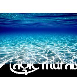 Blue Water Wallpaper Wall Mural by Magic Murals