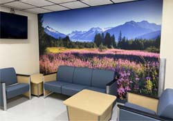 Murals for Hospitals and Medical Facilities | Magic Murals